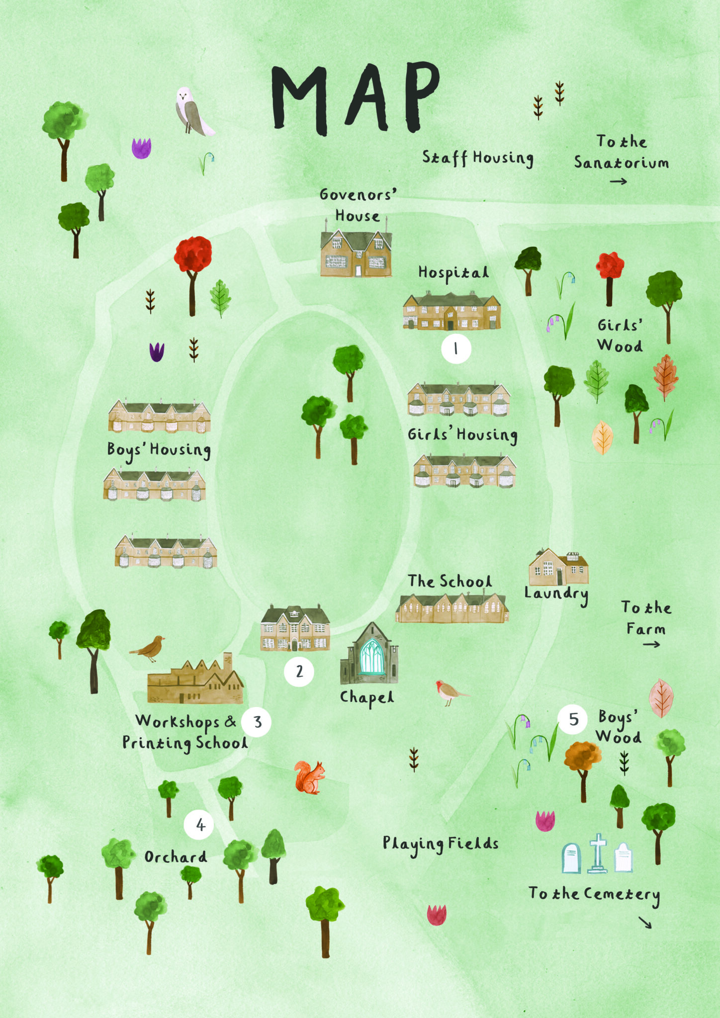 Highfield Oval Map – Workshops – Whole Hearted Childhood